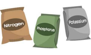 Why do NPK labels express P and K as oxides? – Science in Hydroponics